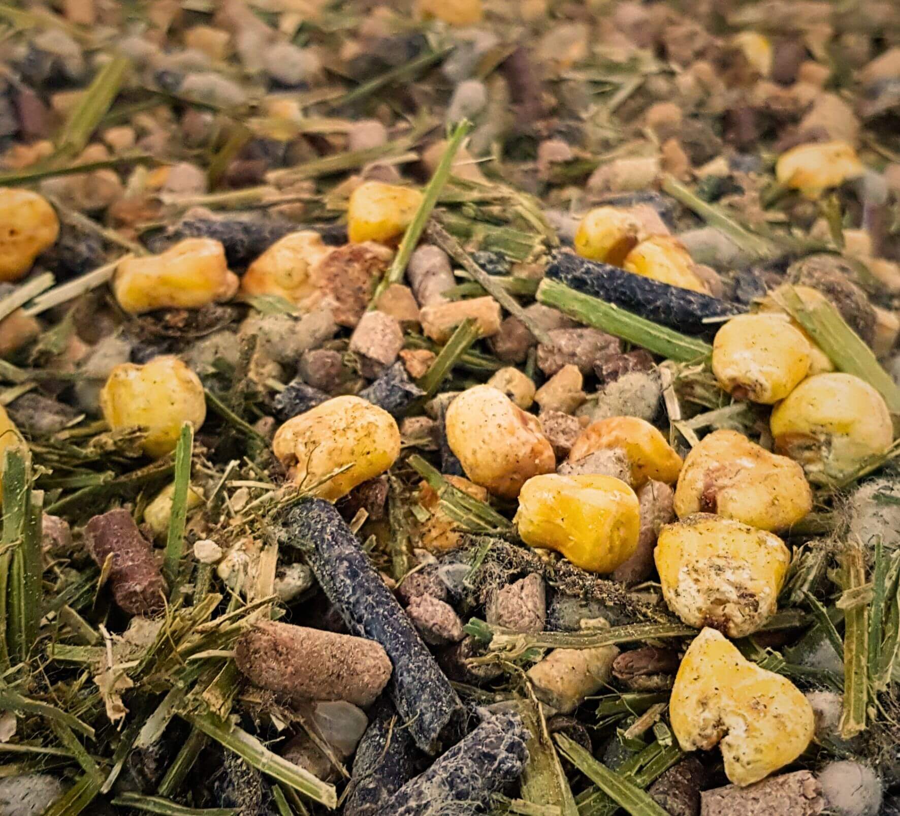 Mash bovin – Alfalor.ch